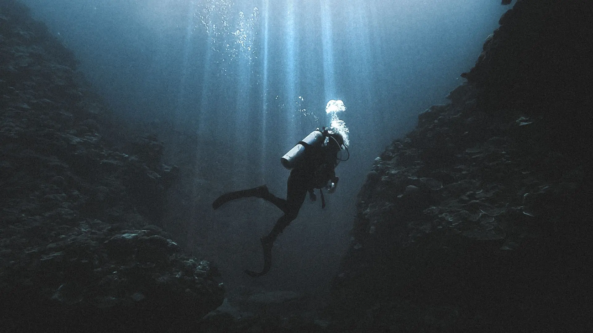 Blog - No Limit Dive