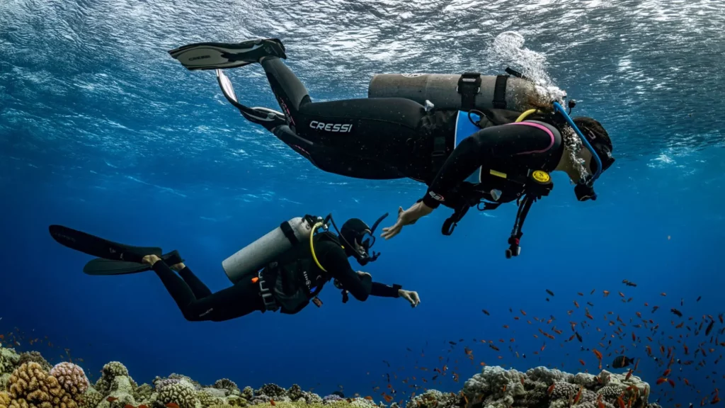 The Ultimate Guide to PADI Search and Recovery Diver Course - No Limit Dive
