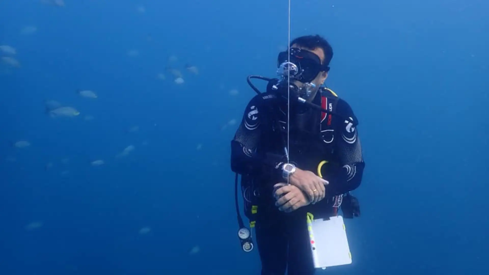 The Ultimate Guide to PADI Self-Reliant Diver Specialty Course - No Limit Dive