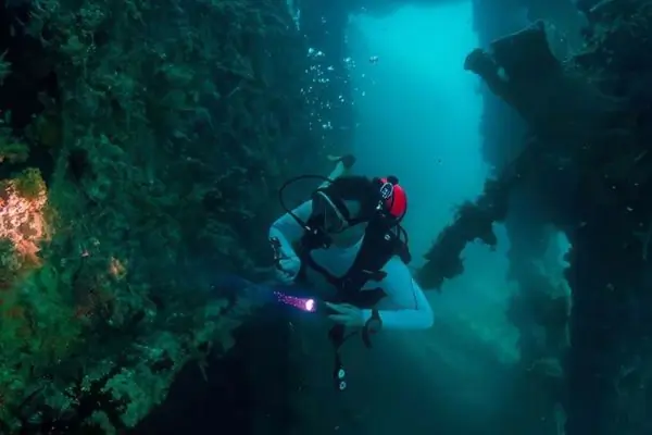 padi-professional-internships - No Limit Dive