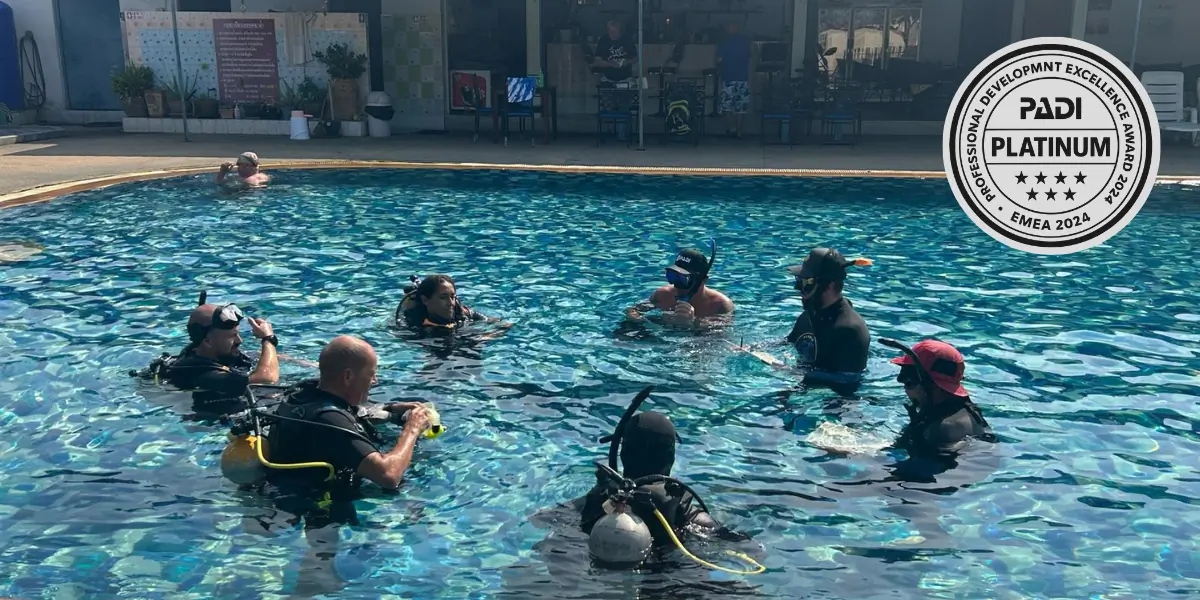 padi-professional-internships - No Limit Dive